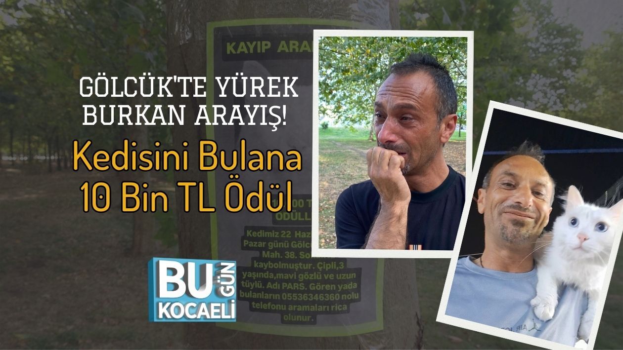 Gölcük'te Yürek Burkan Arayış! Bulana 10 Bin TL Ödül - | Bugün Kocaeli ...